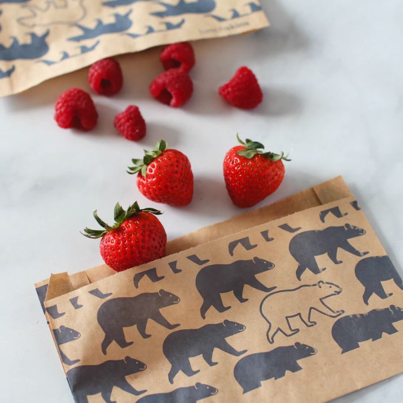 Compostable + Unbleached Paper Snack Bags | Lunchskins | Unpacked Living